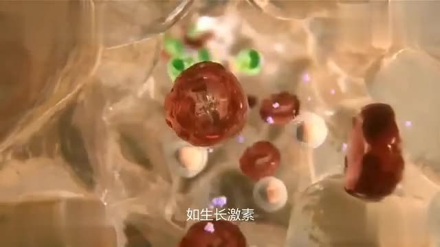 生物微课内分泌系统的组成