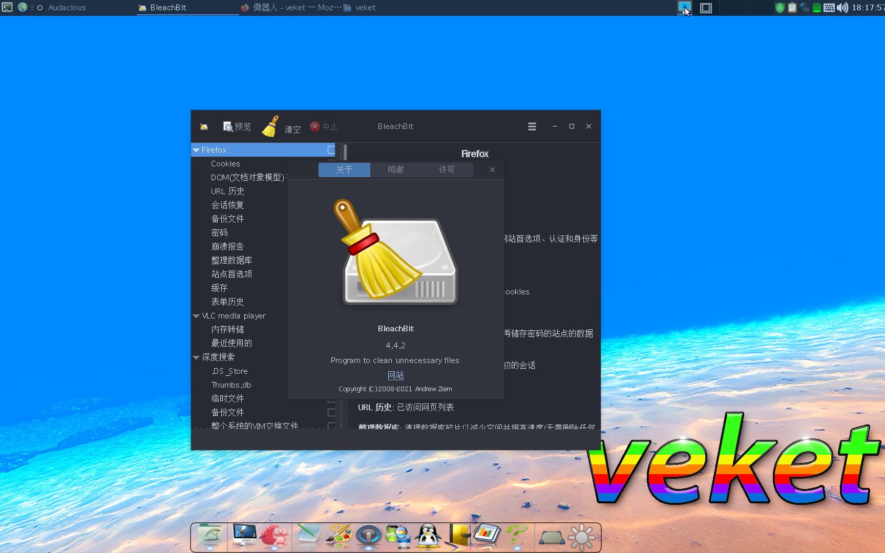 最好用的垃圾清理软件BleachBit