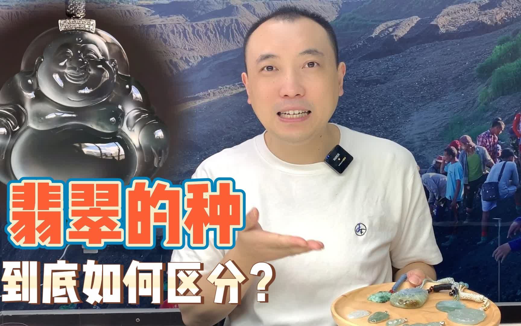 翡翠的种水是怎么区分的?看完这个视频你就明白了