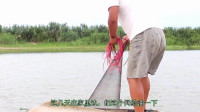 看大哥撒网真是一种享受,到一望无际的湖面捕鱼,大板鲫真漂亮!