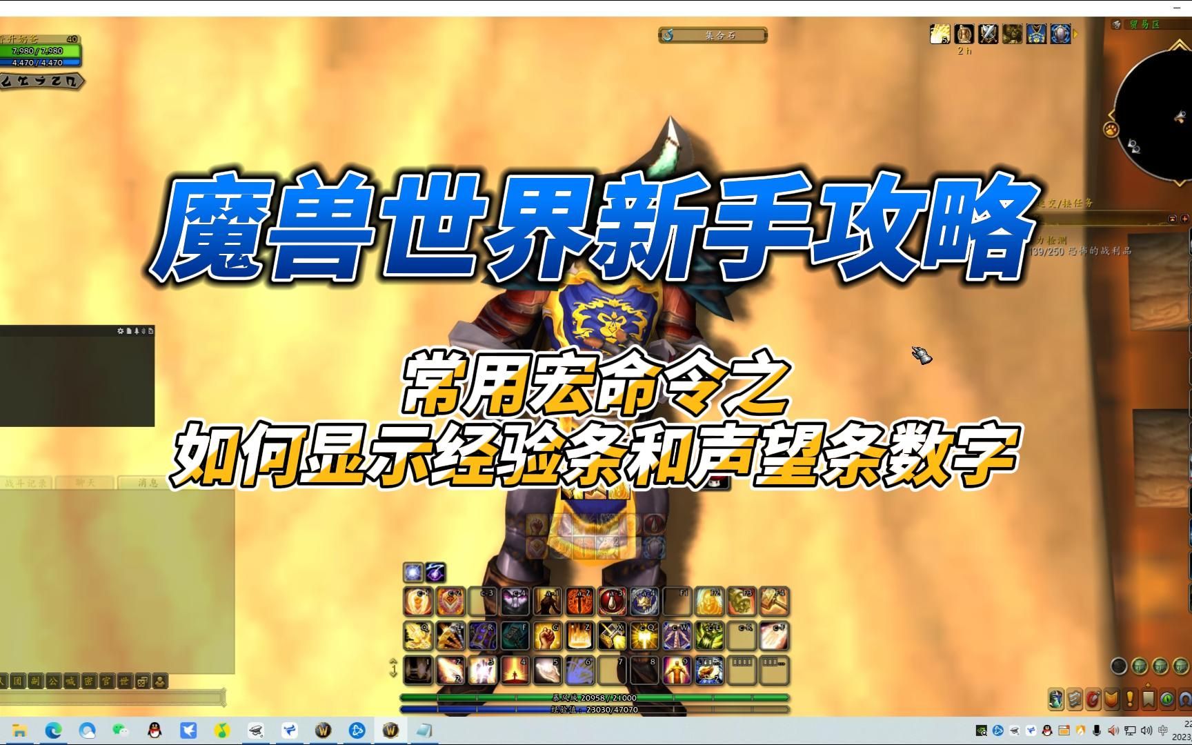 魔兽世界新手攻略:常用宏命令之如何显示经验条和声望条数字_魔兽世界