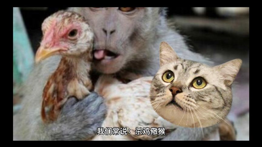 日常生活工作中杀一儆百,也是一种极高明的管理手段
