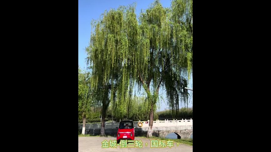 金城-倒三轮,国标车,​爱车生活,时尚潮流!与众不同