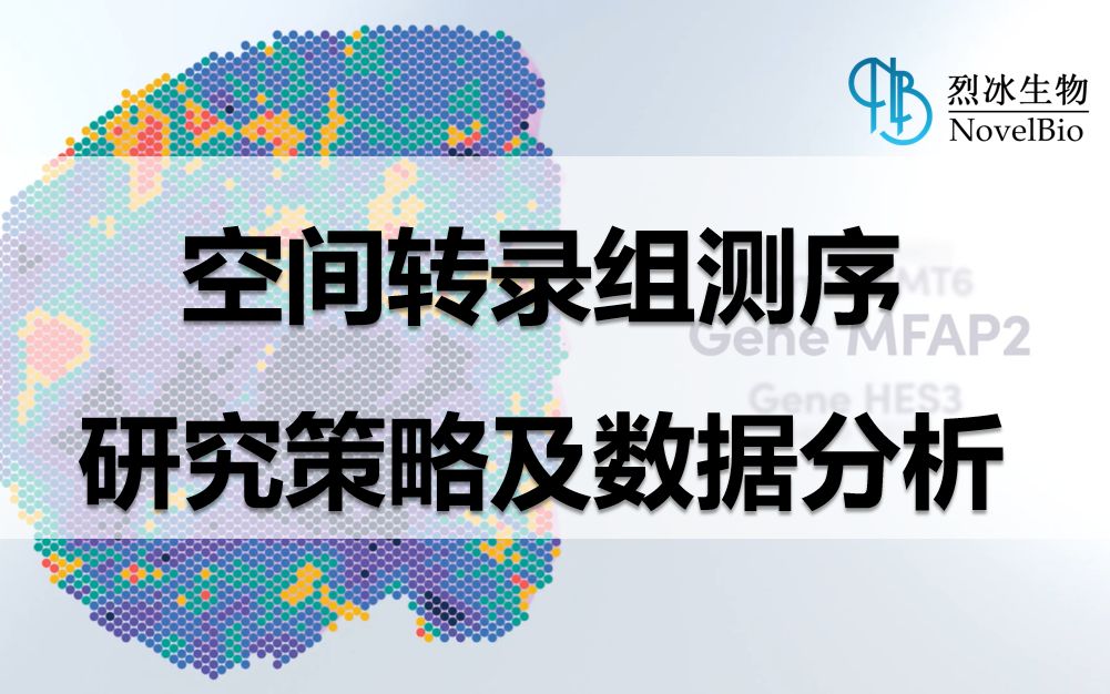 烈冰生物|| 空间转录组测序研究策略及数据分析讲座