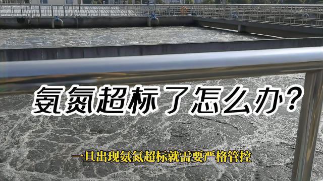 常见的污水处理中,氨氮超标了该怎么办