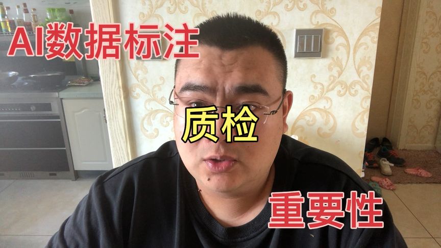 AI数据标注,简单说说质检对数据标注的重要性,核心力量。