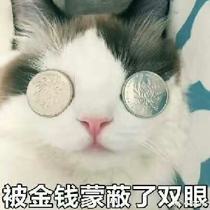 K歌节 