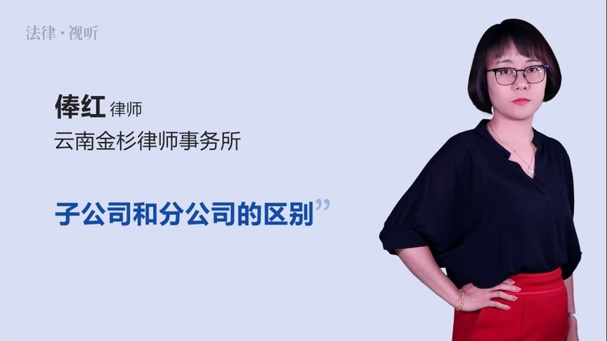子公司和分公司的区别