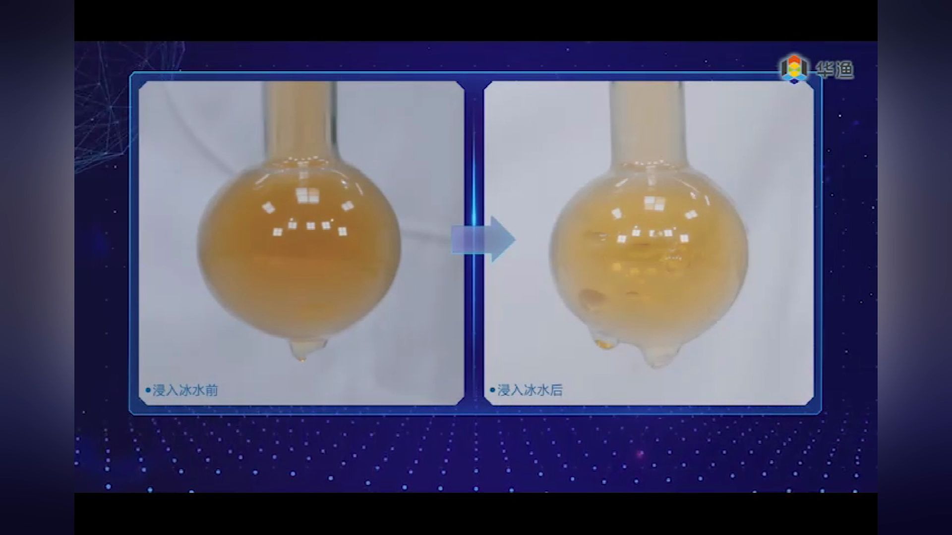 (初中)化学实验_101虚拟实验室_二氧化氮球浸泡在冰水、热水中实验