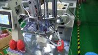 自动供料螺钉拧紧机(多轴固定型螺丝设备)视频