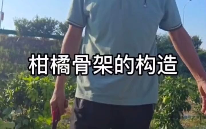 ...类不落叶果,利用生理特征,做到高效节约式管理,才能获得更高的收益。