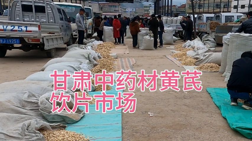 甘肃中药材黄芪饮片市场价格让你意想不到