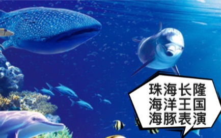 珠海长隆海洋王国海豚表演-精彩而残忍