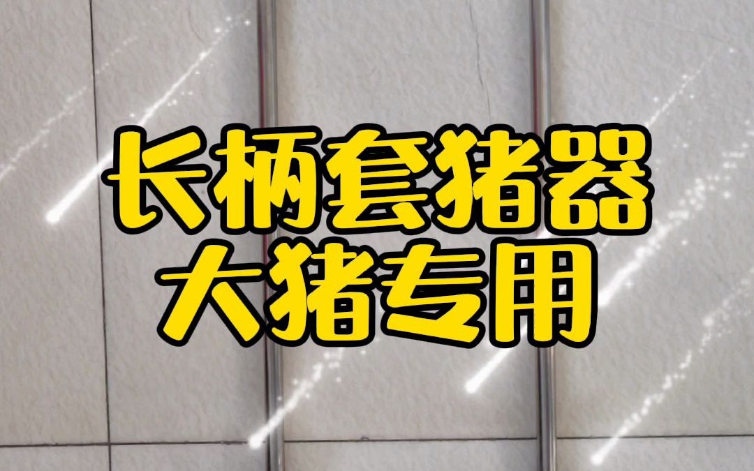 鑫佰加畜牧-养猪场用加长套猪器 不锈钢长柄套猪杆 猪用打针保定用套...
