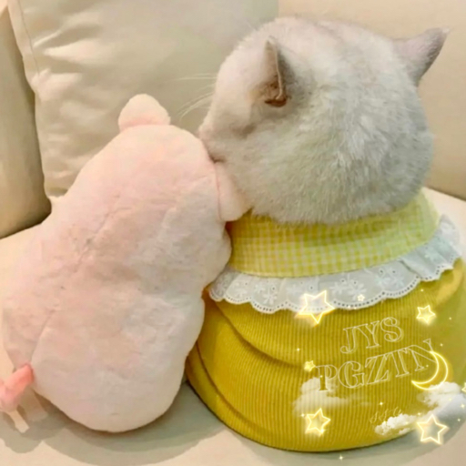 姜云升苹果真甜呐 