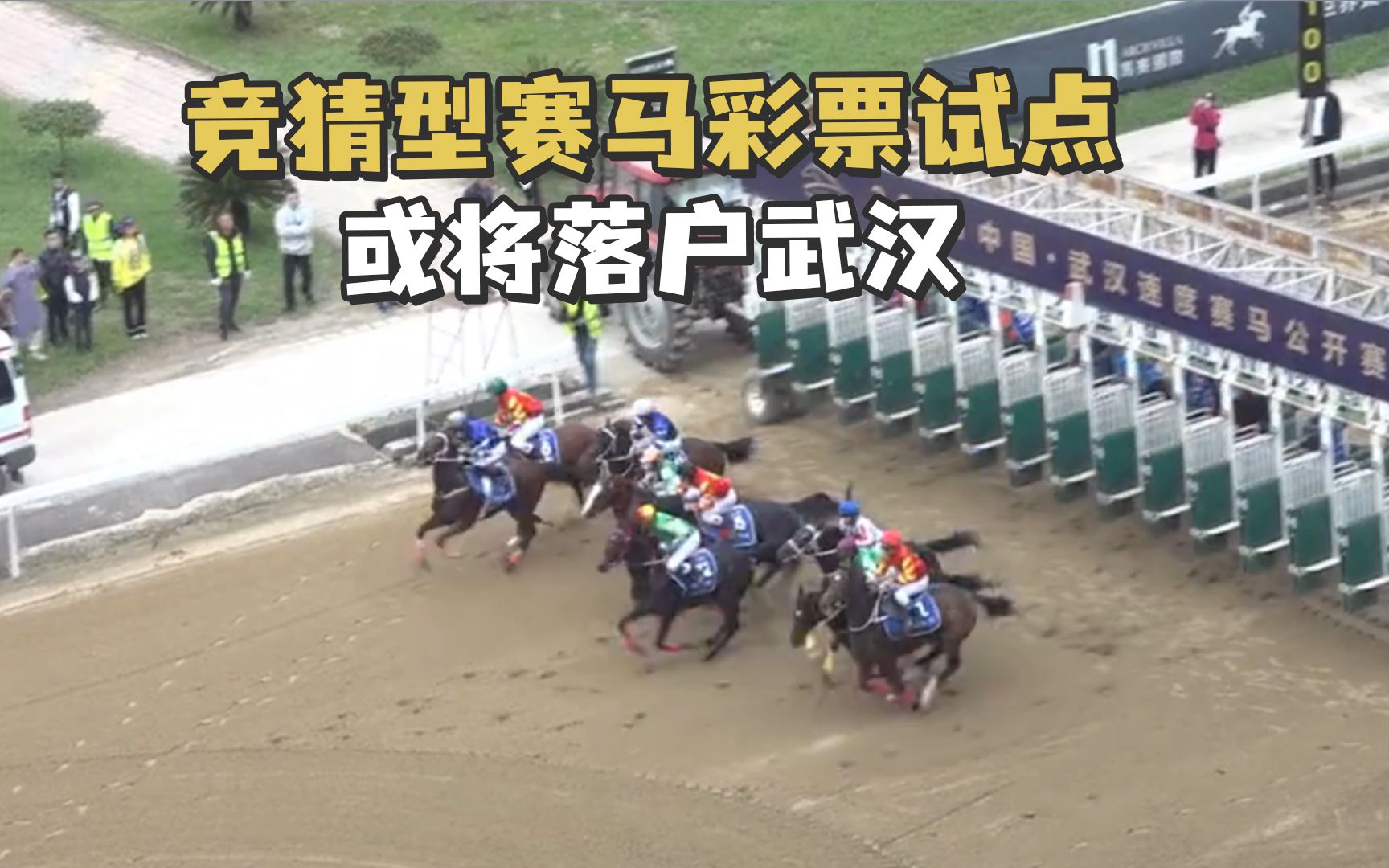 武汉:争取“竞猜型赛马彩票试点”落户