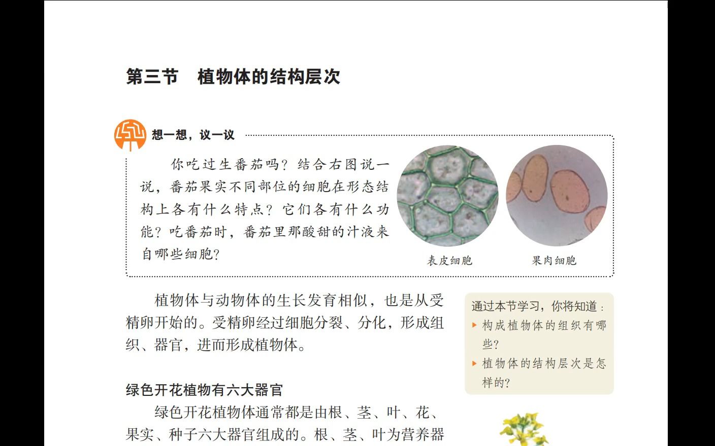 2单元2章第三节:植物体的结构层次