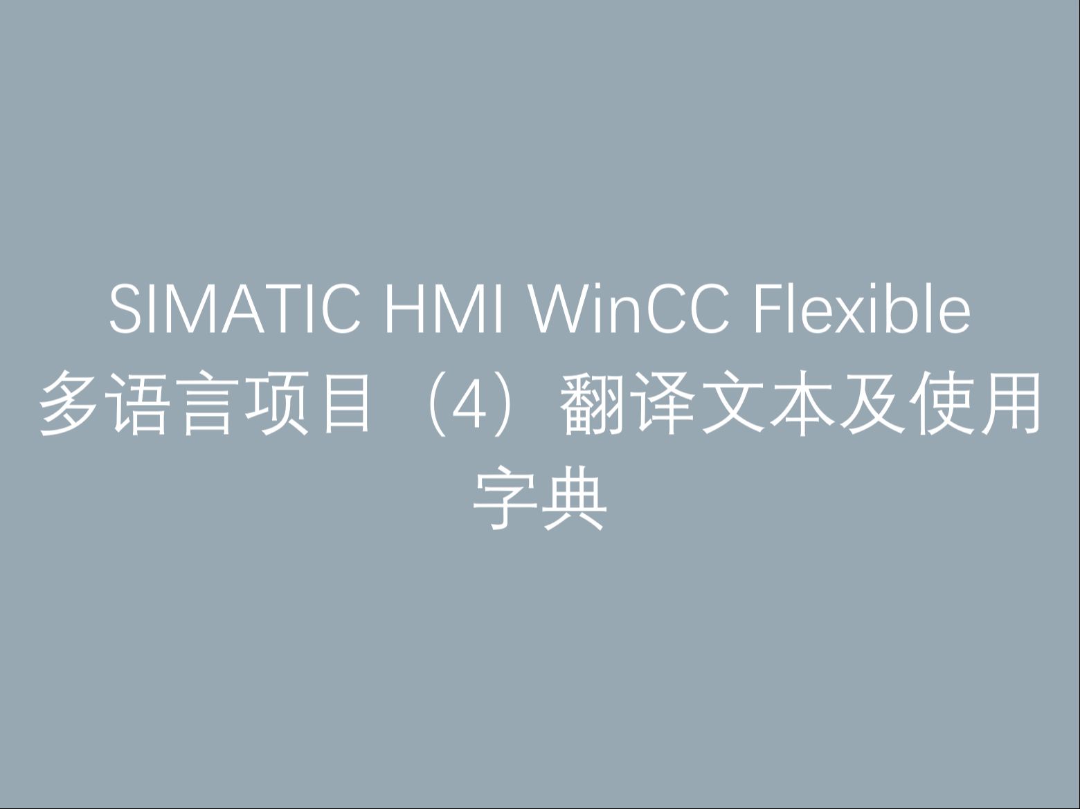 ...软件 WinCC Flexible 视频教程之多语言项目(4)翻译文本及使用字典