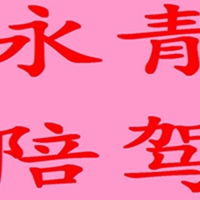 天津滨海永青汽车陪练 