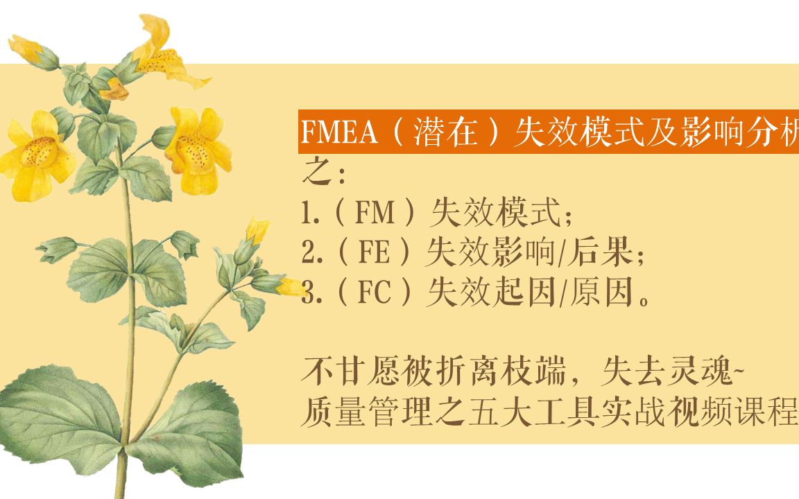 五大工具之FMEA(潜在)失效模式及影响分析之 失效模式、失效影响(...