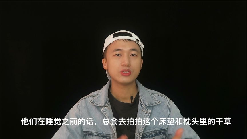 为什么hit the hay是去睡觉的意思?