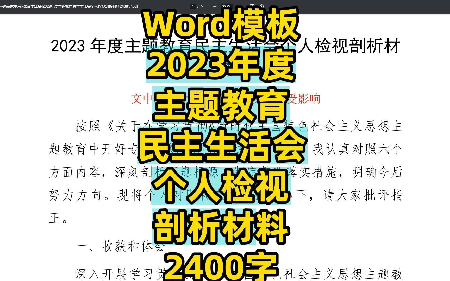 2023年度主题教育民主生活会个人检视剖析材料2400字,发言范文,...