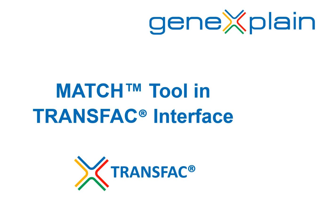 TRANSFAC数据库: 预测转录因子结合位点的 MATCH 和 FMATCH 工具