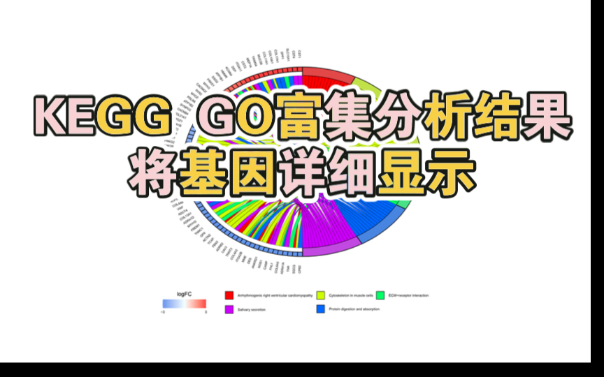 R语言KEGG-GO富集分析结果将基因详细显示