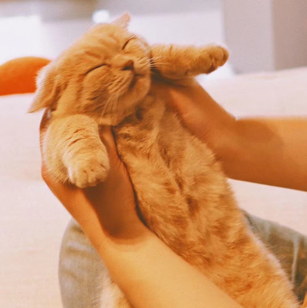 二狗饿了吗 