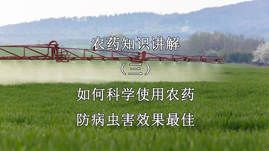 农药知识讲解(三)如何科学使用农药,防病虫害效果最佳。