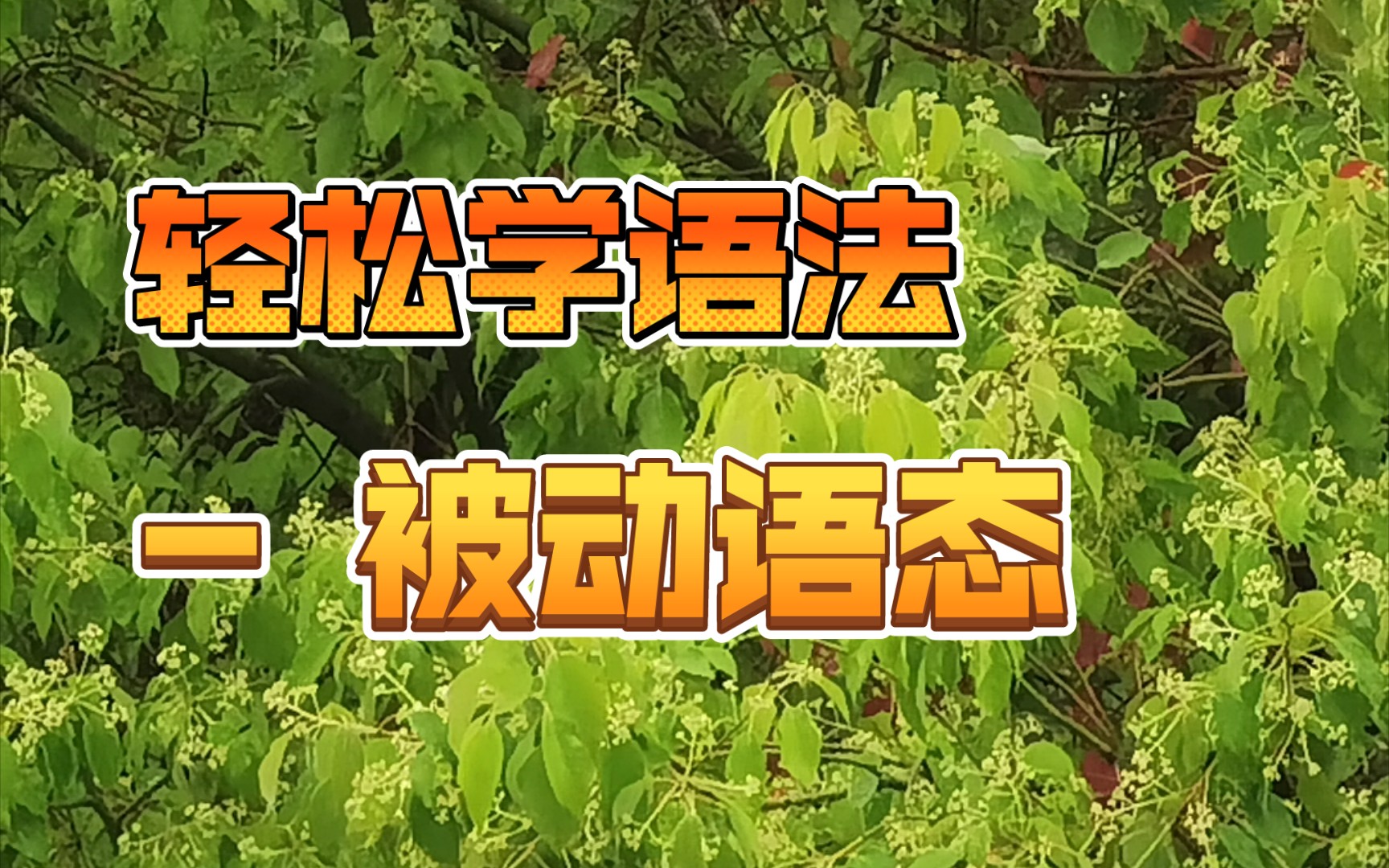 轻松学语法 - 被动语态(小学生也一学就会)