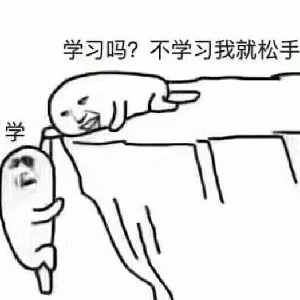2233娘是亲娘 