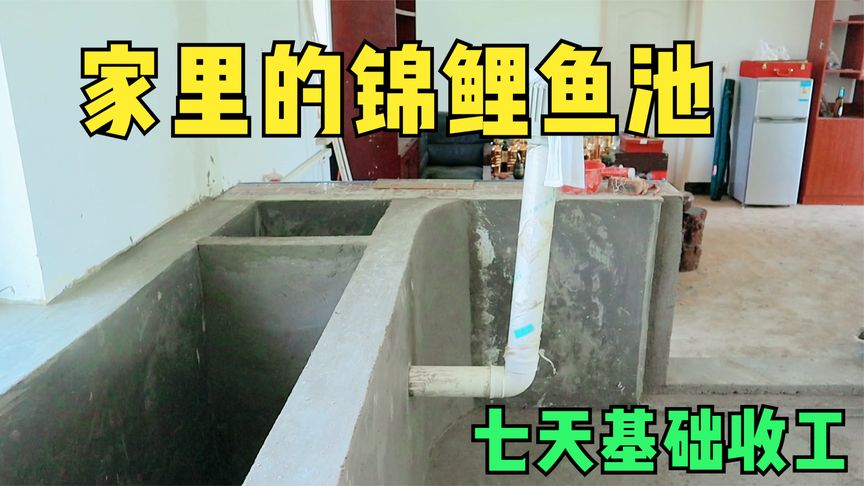 打造锦鲤观赏鱼池,过滤系统设计简单有效,沉淀仓必须要做大!