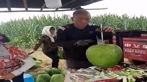 大爷发明的去皮机,一天去皮80多吨,相当于50多个名员工
