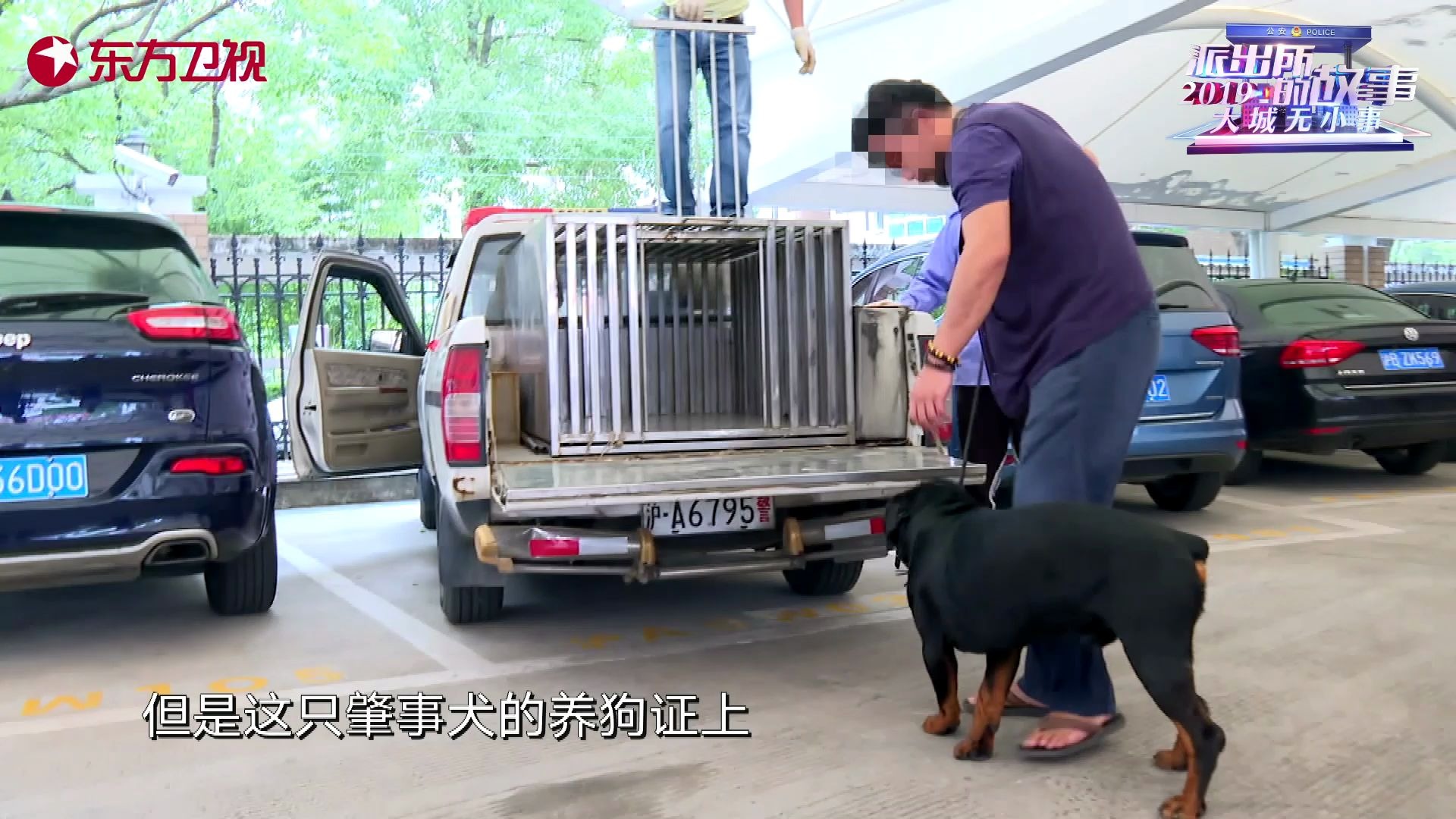 【派出所的故事2019】烈性犬伤人事件(3) :狗证漏洞调查