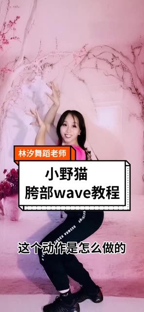 ./b>经典动作教程来了#小野猫舞蹈教学视频完整版