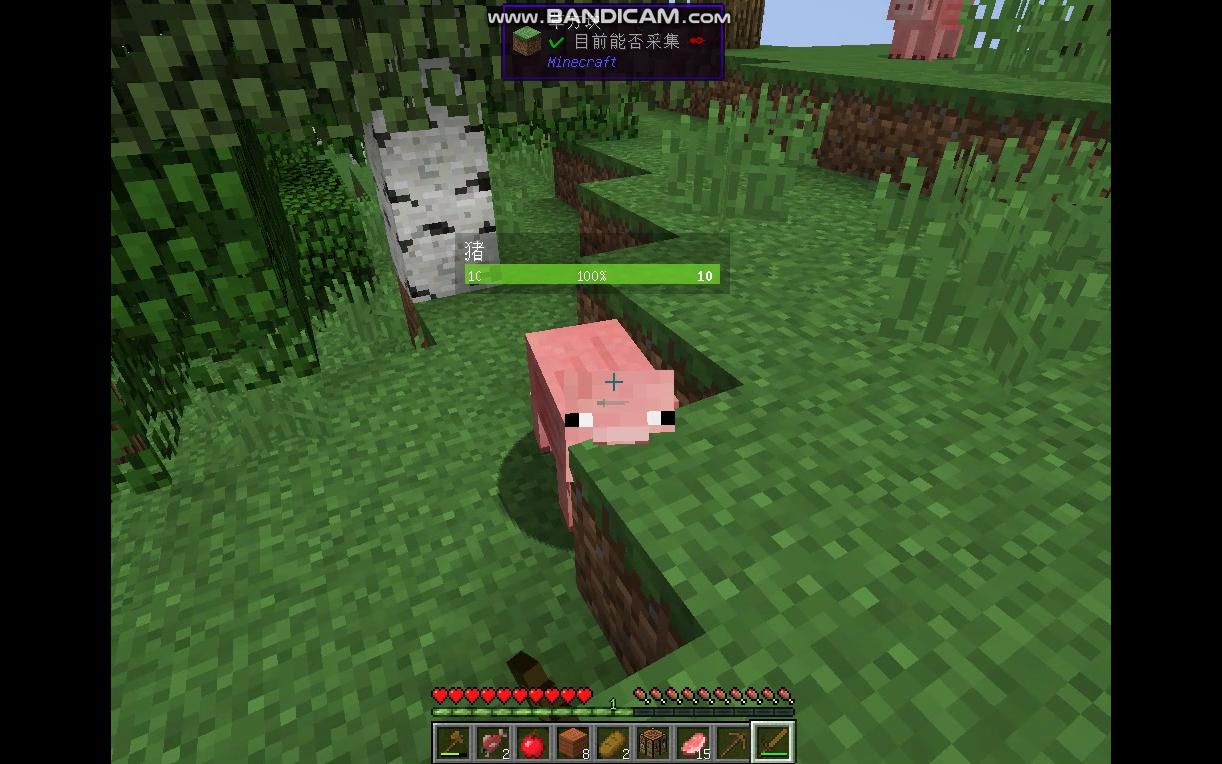 【蓝天】《我的世界》MC多模组生存Part 1