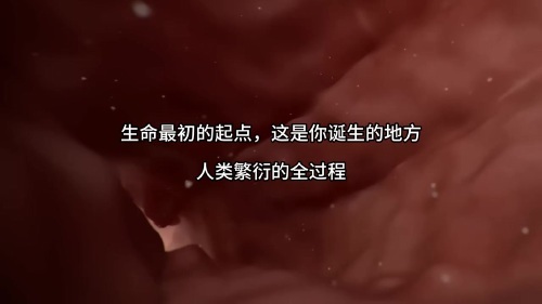 这是人类生命诞生的完整过程希望你认真看完生命本就是宇宙最伟大的杰