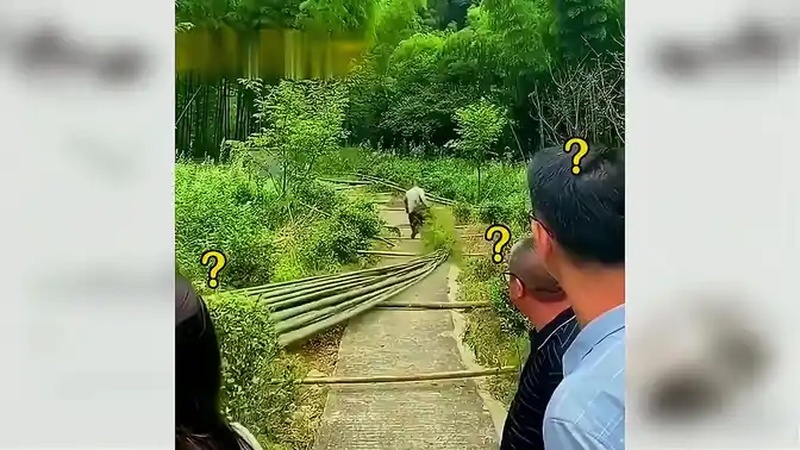 劳动人民的智慧,怎么能聪明成这样