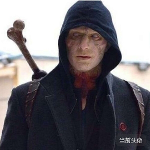 韦斯特斯莱特林 