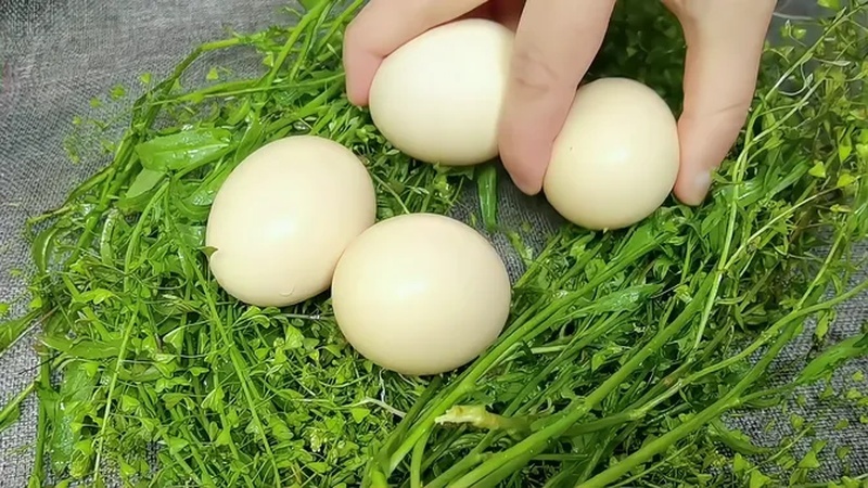 荠菜煮鸡蛋有什么好处不少人把它当"灵丹",这样做健康又美味