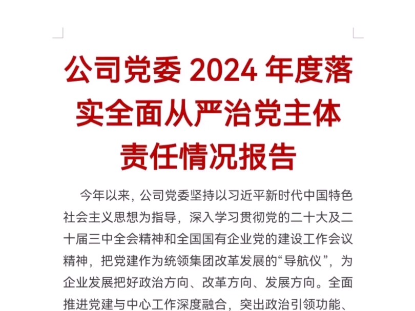 公司党委2024年度落实全面从严治党主体责任情况报告