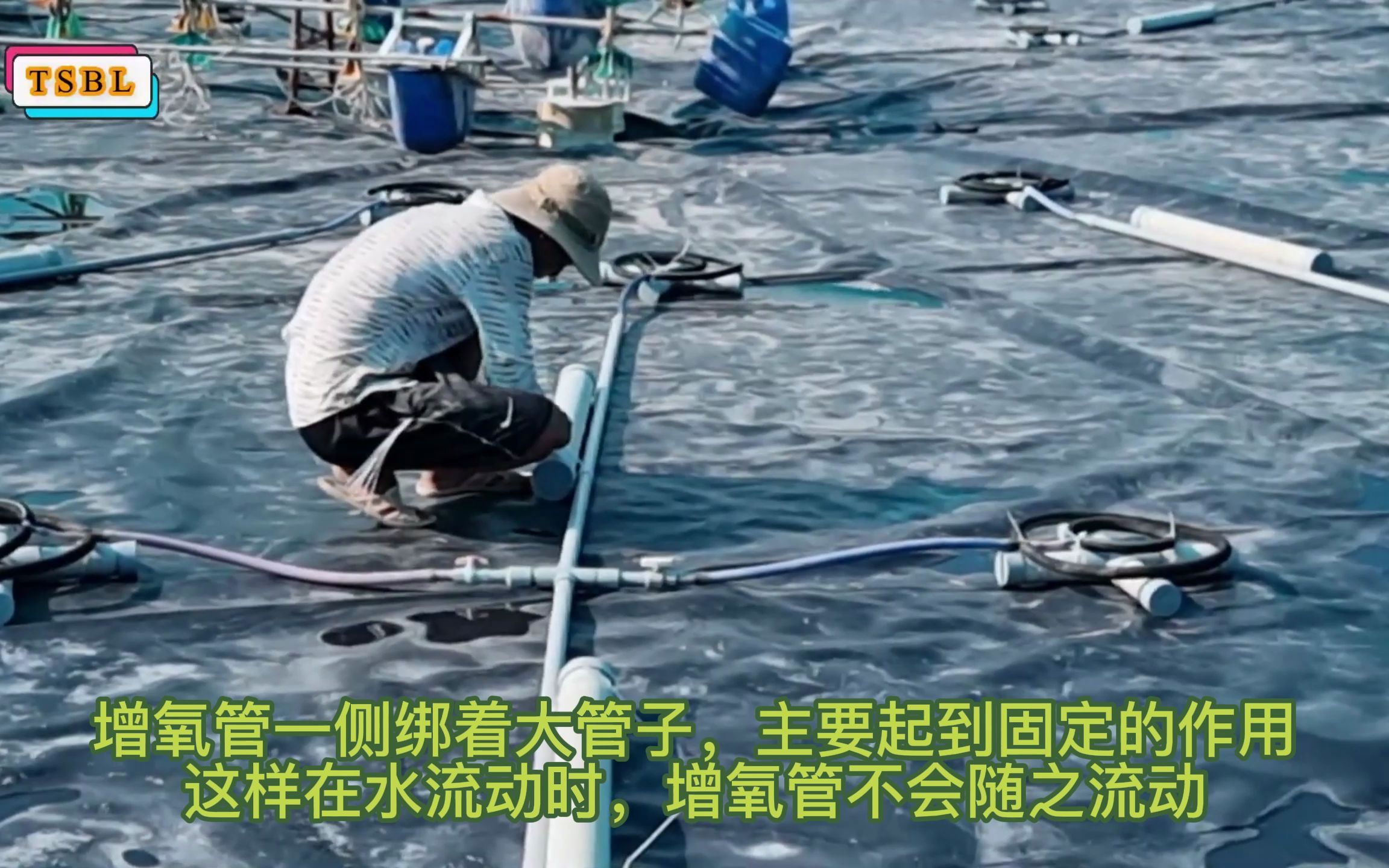 超高密度的养殖模式:500立方米的增氧系统布置图