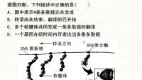 (汉水丑生一轮复习)基因表达习题讲解