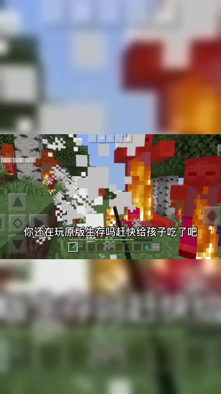 我的世界:惊变100天!