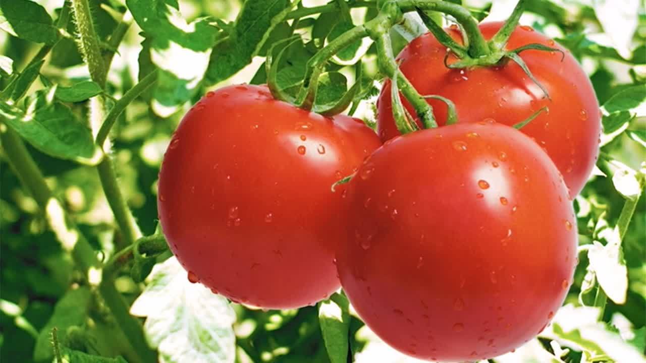 血管堵塞,难长寿!这些食物经常吃,疏通血管,给血管“洗个澡”