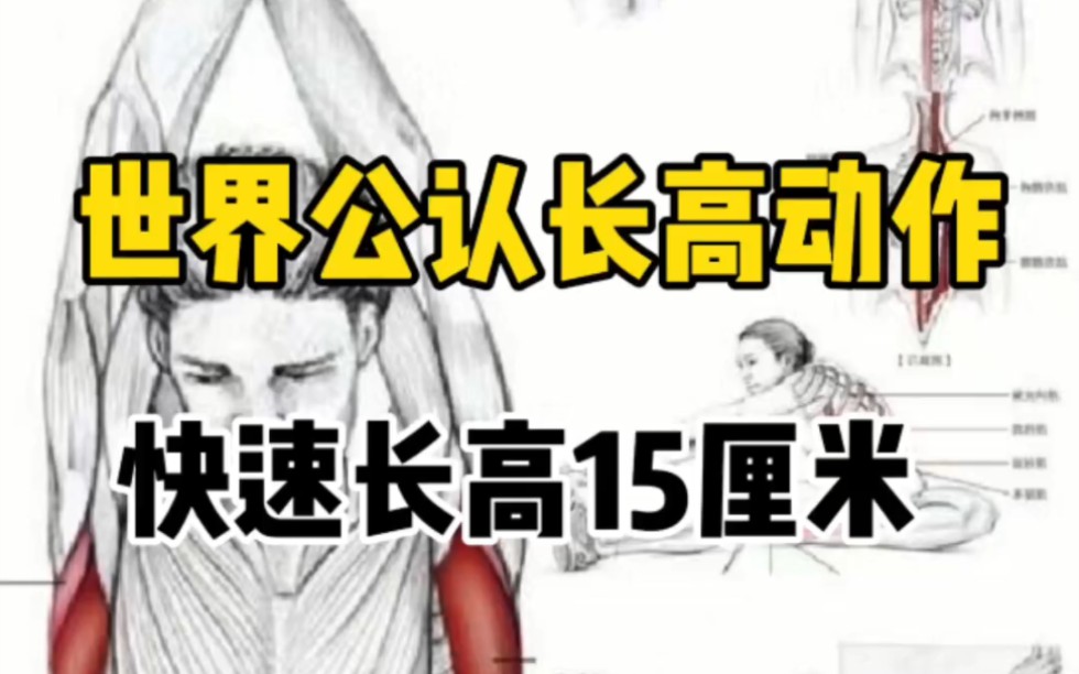 世界公认长高动作,快速长高15cm【骨灰级分享】