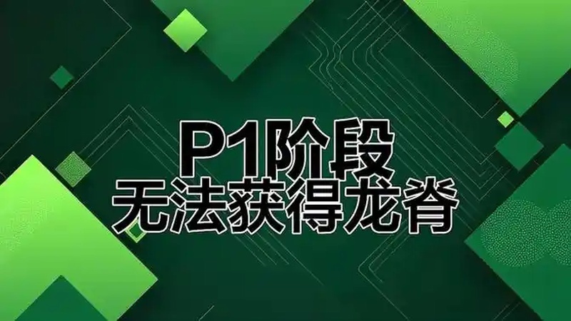 增强萨满P1阶段被龙脊拒之门外,MSLD反击社会