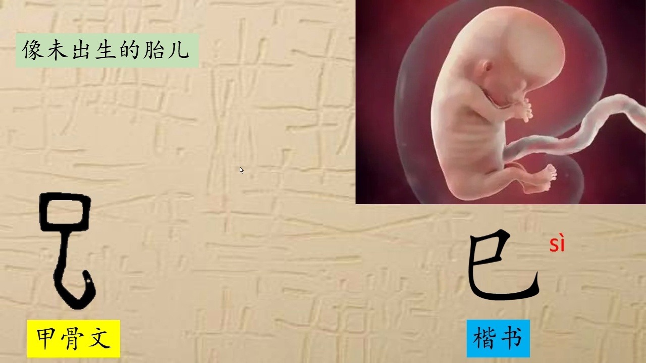 148、古人表示胎儿是什么字,汉字,趣味识字,象形字,书法,写字,甲骨文,...