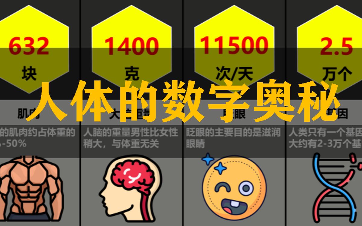 人体的数字奥秘,你对自己的身体有多了解?